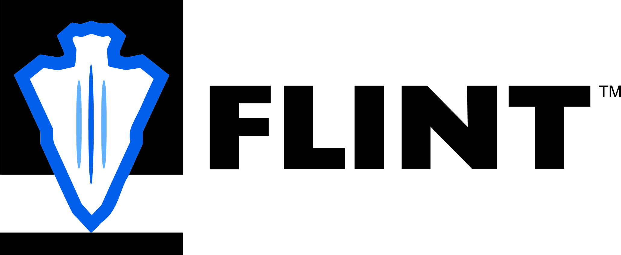 Welcome Page - FLINT Corp. Online Merchandise Store